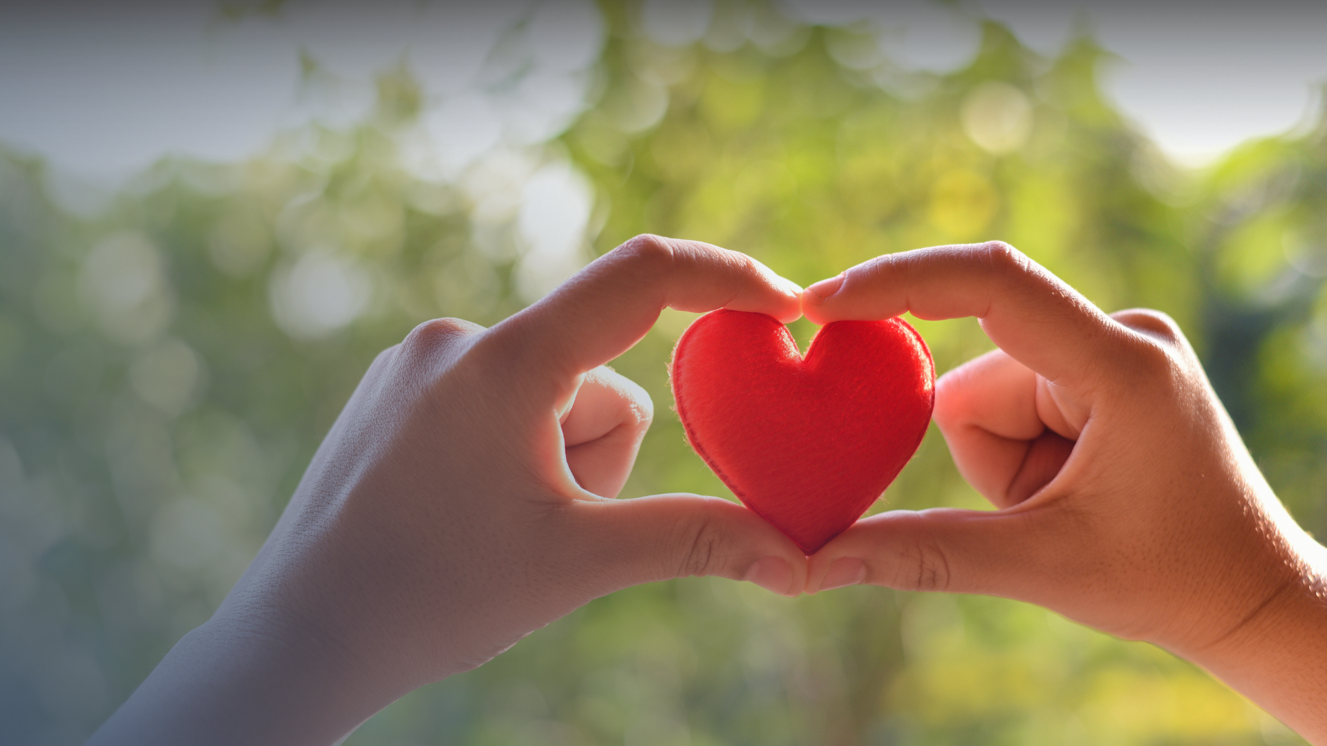 Grants for Good Program | Everforth Apex
